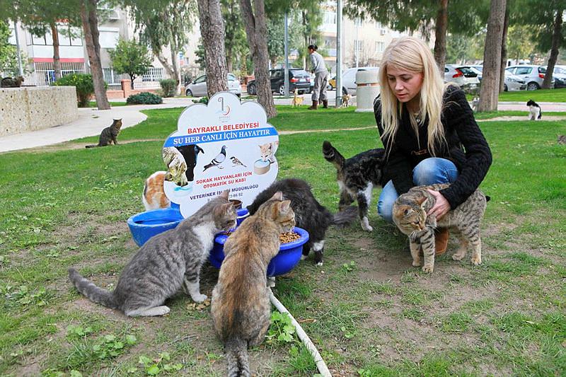 BAYRAKLI’DA HAYVAN KORUMA GÖREVLİSİ EĞİTİMİ - İzmir Haberleri